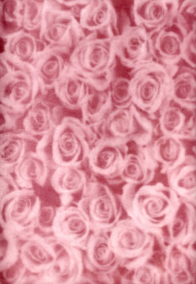 Backing Paper A4 - Pink Rose Montage (Small) - £0.35 : Arbol Crafts ...