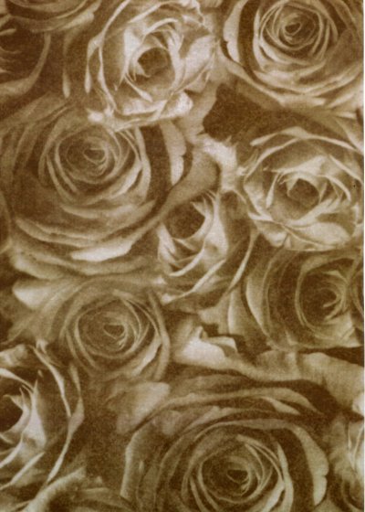 Backing Paper A4 - Red Rose Montage (Std) - £0.35 : Arbol Crafts ...
