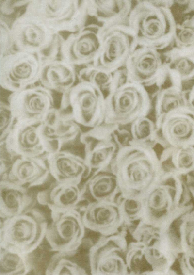 Arbol Crafts, Creative Cardmaking